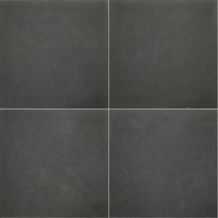 Tuintegel Axenta Premium Plata 60 x 60 x 4 cm Noir/Bruno - lime bij ...